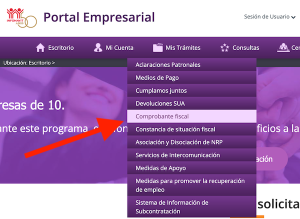 Descargar el CFDI del Infonavit (portal empresarial) - ContadorMx