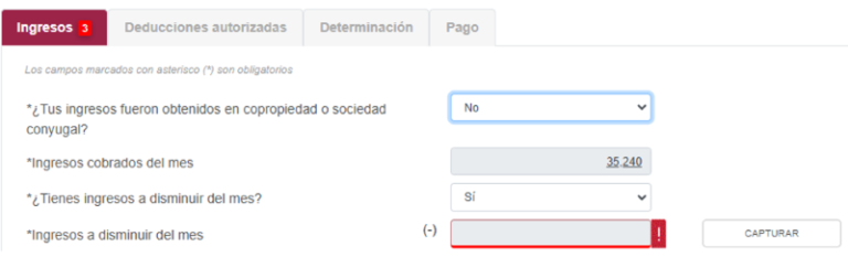 Errores en el nuevo aplicativo del SAT para personas físicas - ContadorMx